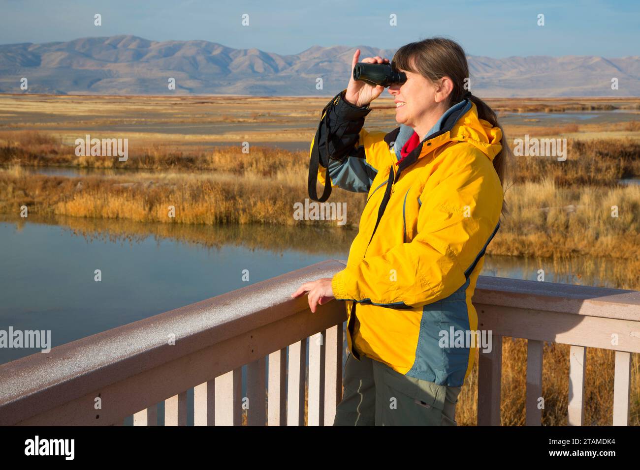 Birding from observation deck, Bear River Migratory Bird Refuge, Utah ...