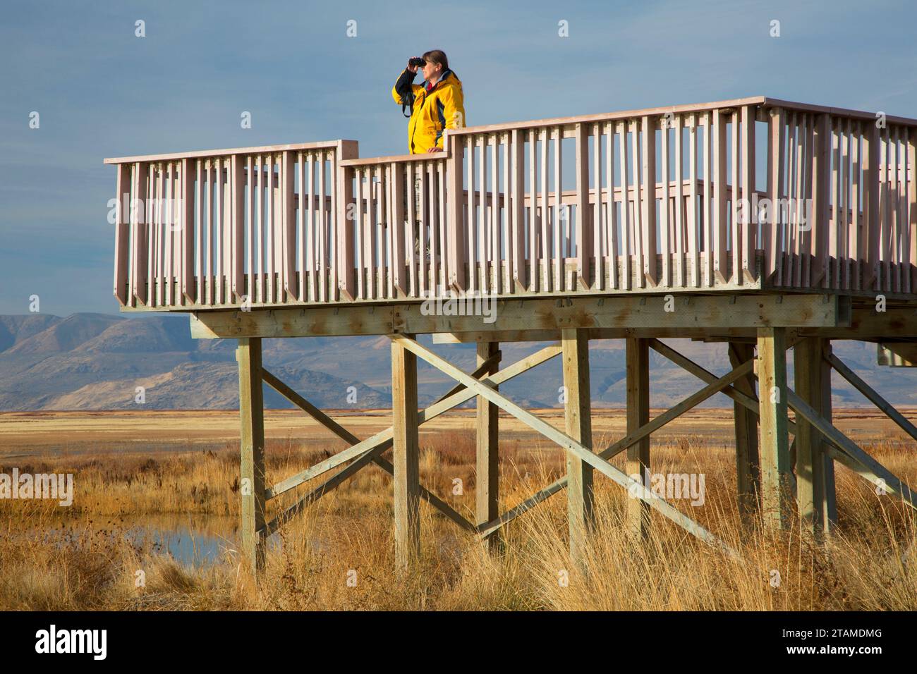 Birding from observation deck, Bear River Migratory Bird Refuge, Utah ...