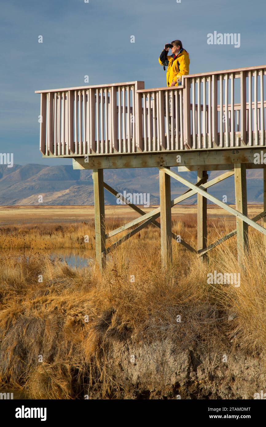 Birding from observation deck, Bear River Migratory Bird Refuge, Utah ...