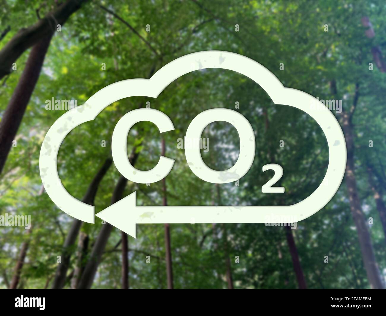 Concept of clear air. CO2 inscription in illustration of cloud with ...