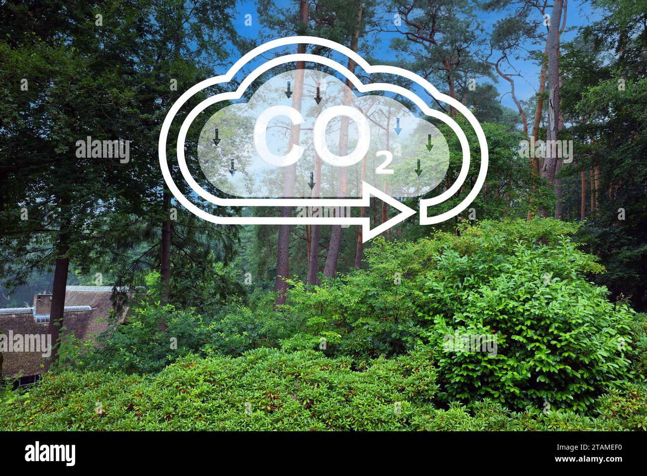 Reduce CO2 emissions. Illustration of cloud with CO2 inscription ...