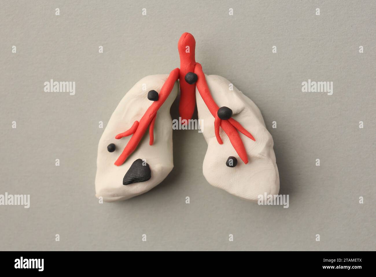 Human lungs made of plasticine on light grey background, top view ...
