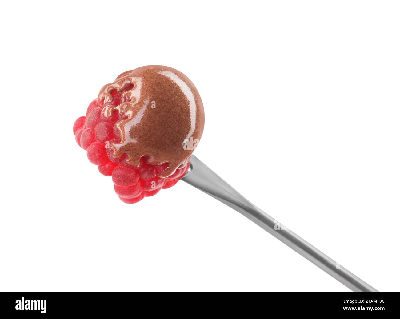 Raspberry with melted chocolate isolated on fondue fork against white ...
