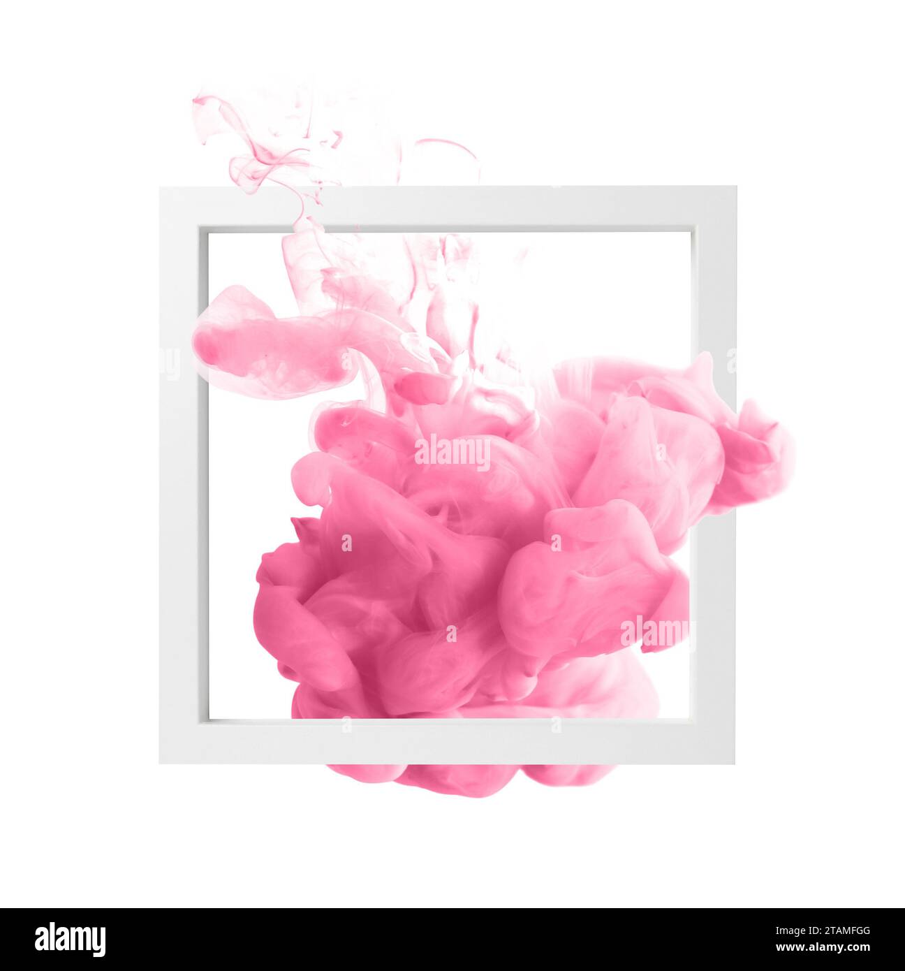 Splash of pink ink and frame on white background Stock Photo - Alamy