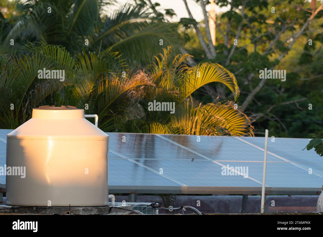 House in the middle of nature has solar panels installed and a water ...