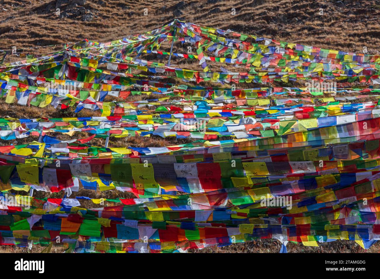 Fields of prayer flags at Muktinath which is a sacred pilgrimage site ...
