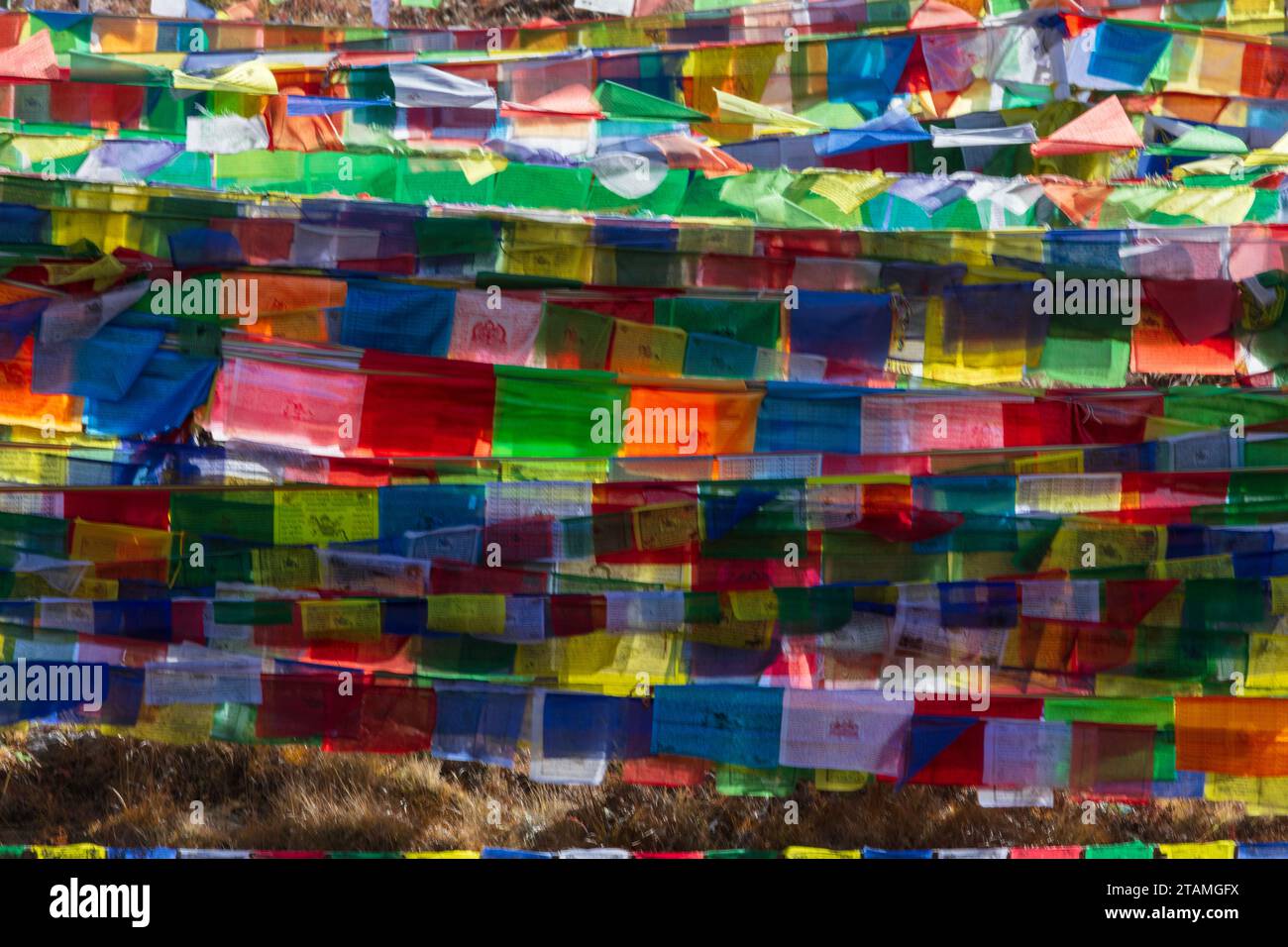 Fields of prayer flags at Muktinath which is a sacred pilgrimage site ...