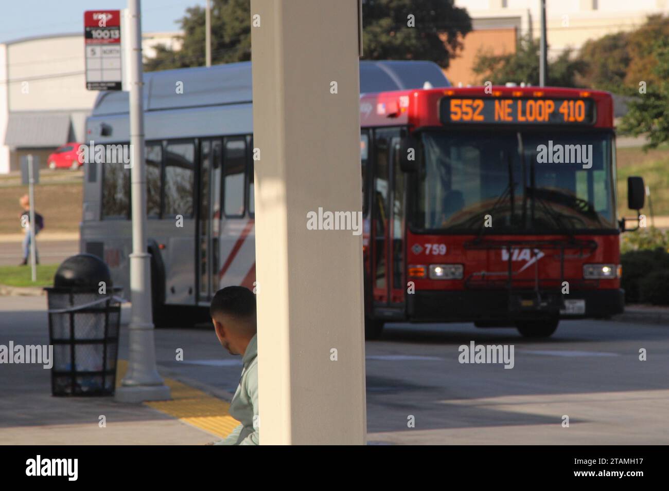 Segregation Bus Lady