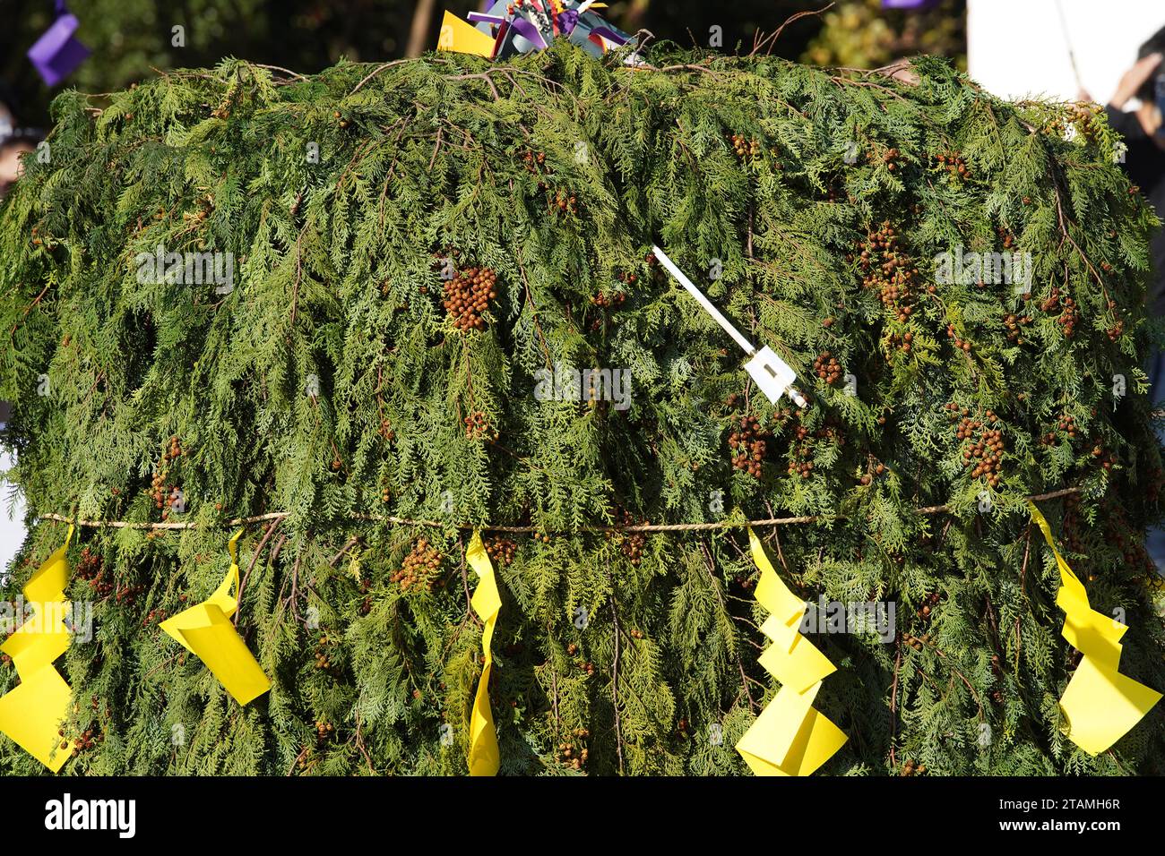 Kagawa, Japan - November 23th 2023: Sacred bonfires during Japanese ...