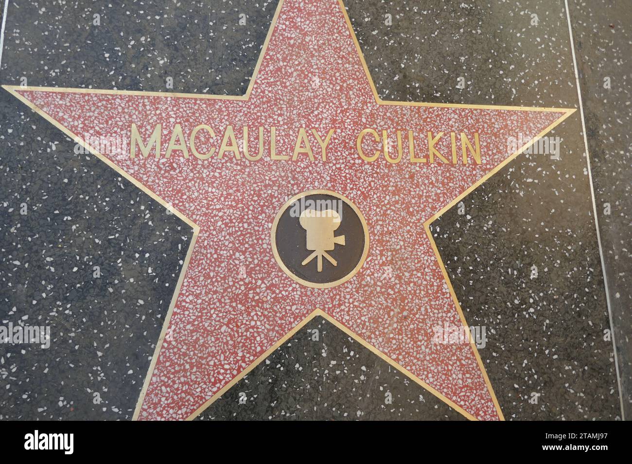 Hollywood, California, USA 1st December 2023 Actor Macaulay Cullen ...