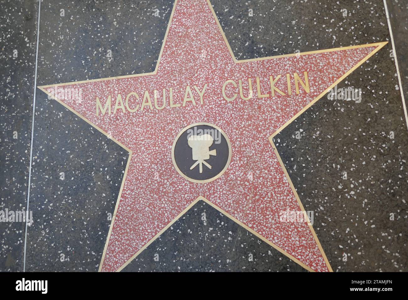 Hollywood, California, USA 1st December 2023 Actor Macaulay Cullen ...