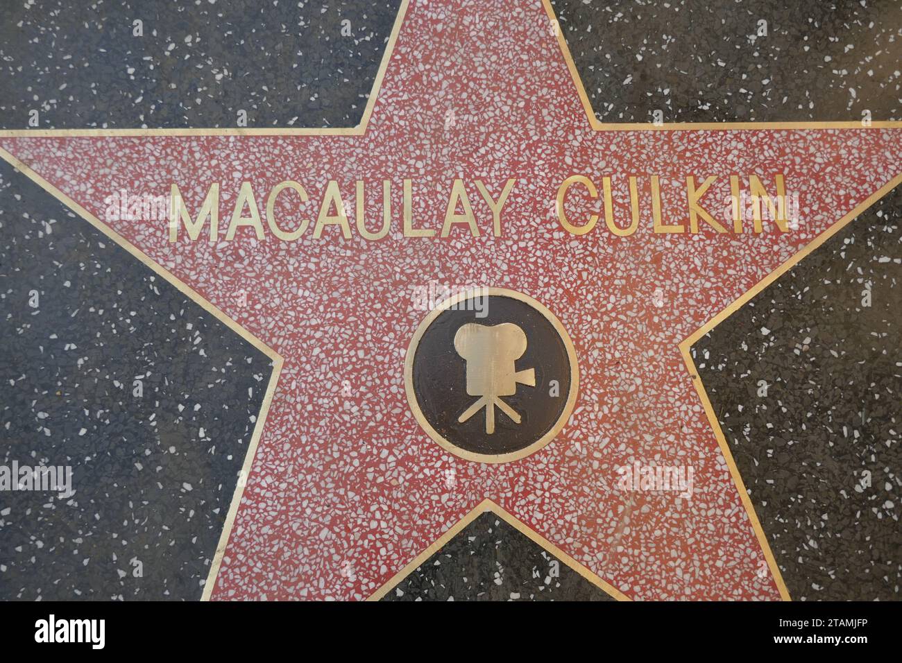 Hollywood, California, USA 1st December 2023 Actor Macaulay Cullen ...