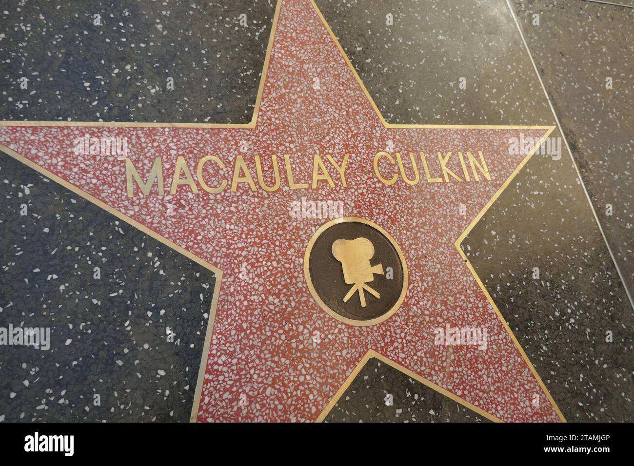 Hollywood, California, USA 1st December 2023 Actor Macaulay Cullen ...
