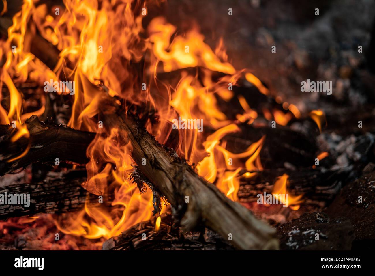 Camp Fire Outside Dark Night Flame Slow Shutter Long Exposure Fire Pit ...