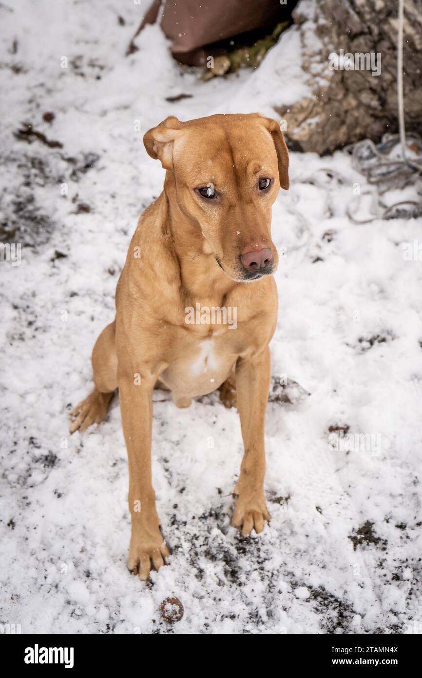 Awkward face hi-res stock photography and images - Alamy