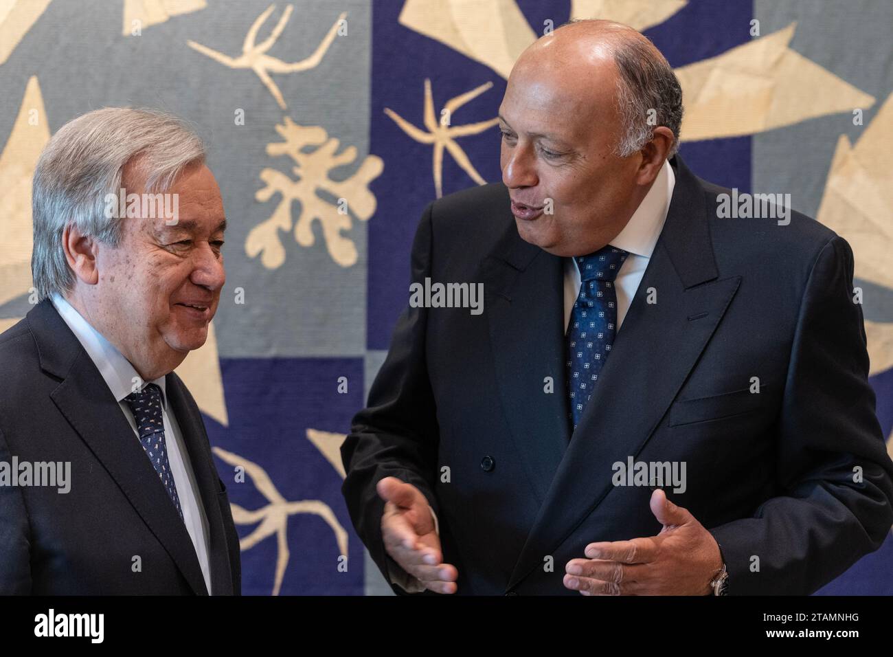 Member of the Ministerial Committee assigned by the Joint Arab-Islamic ...