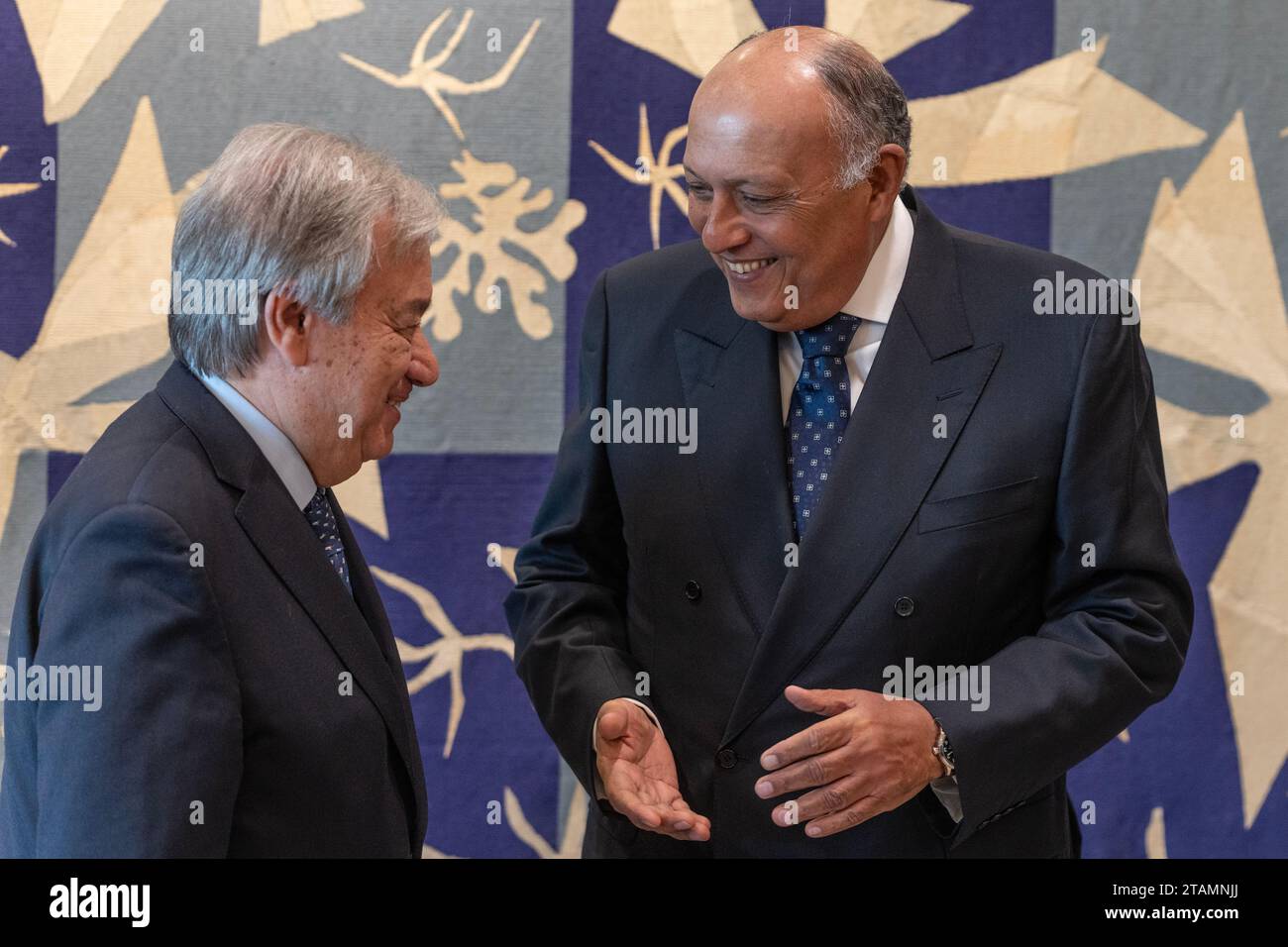 Member of the Ministerial Committee assigned by the Joint Arab-Islamic ...