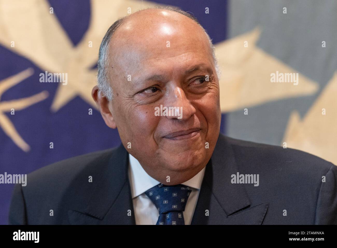 Member of the Ministerial Committee assigned by the Joint Arab-Islamic ...