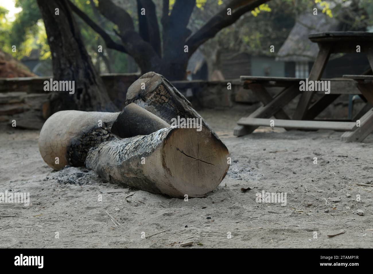 Camp fire logs at picnic site, summer vacation scene, African safari ...