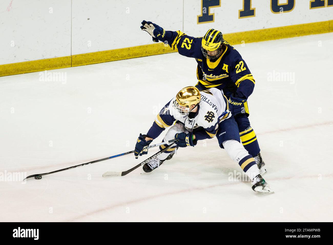 South Bend, Indiana, USA. 01st Dec, 2023. Notre Dame defenseman Michael ...