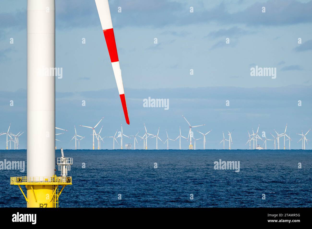 Germany. 16th Nov, 2023. Offshore wind turbines in the North Sea. (To ...