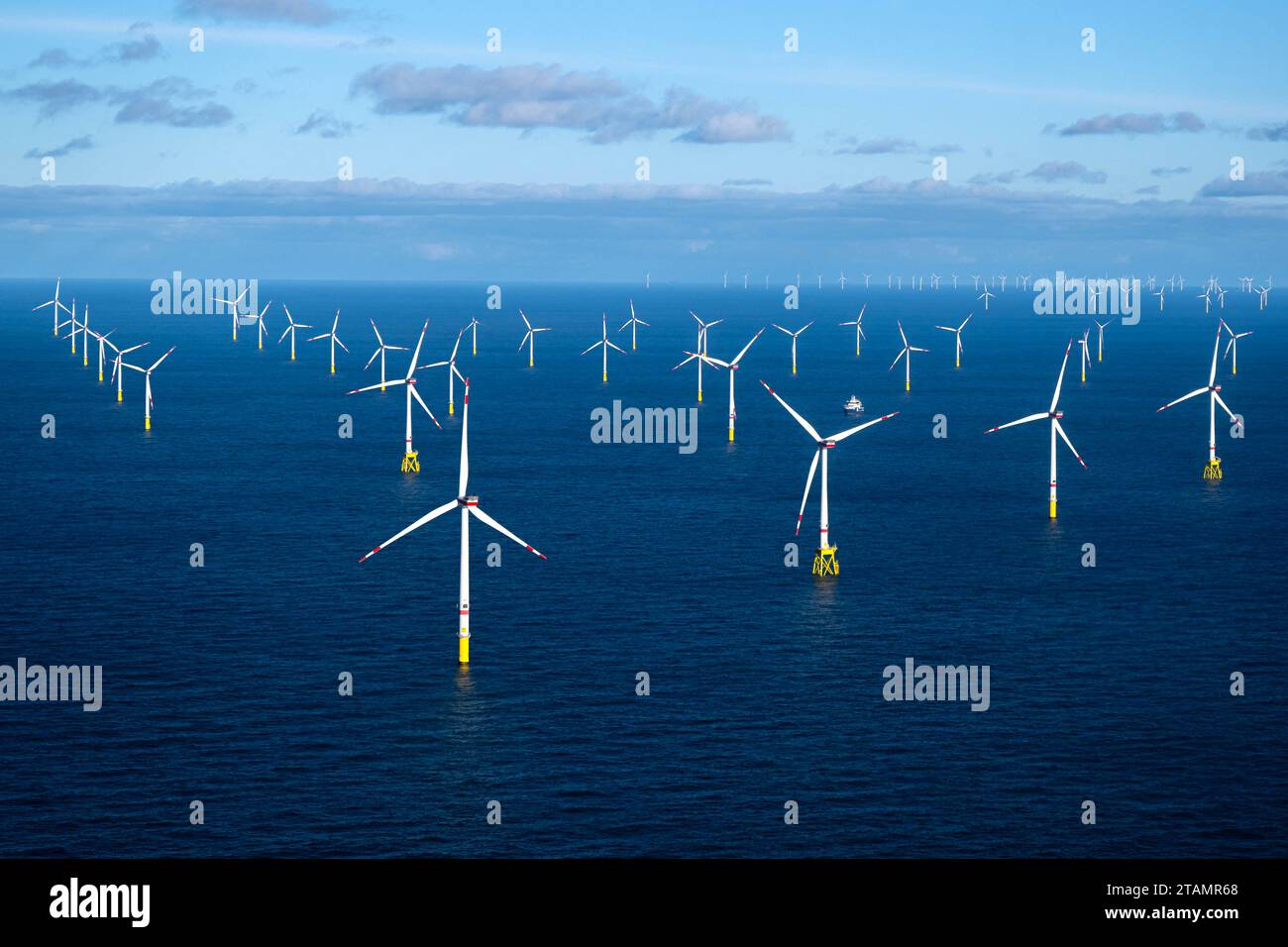 Germany. 16th Nov, 2023. The Dolwin Alpha offshore wind farm. (To dpa ...