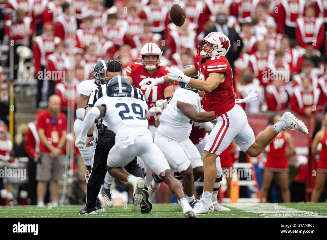 Wisconsin Badgers tight end Hayden Rucci (87) makes a catch during an ...
