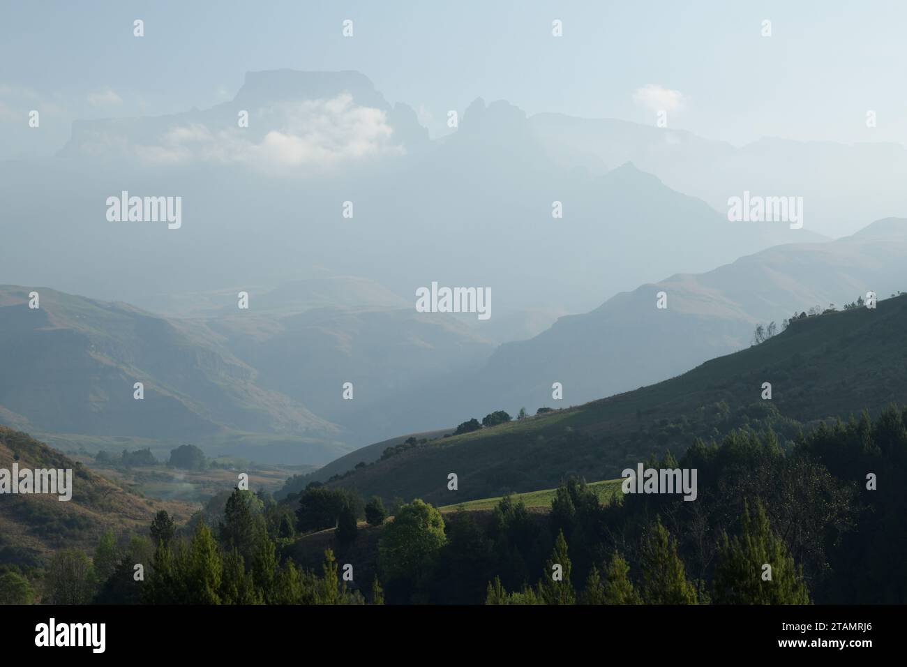Amazing view of Champagne Valley in foothills of Drakensberg mountains ...