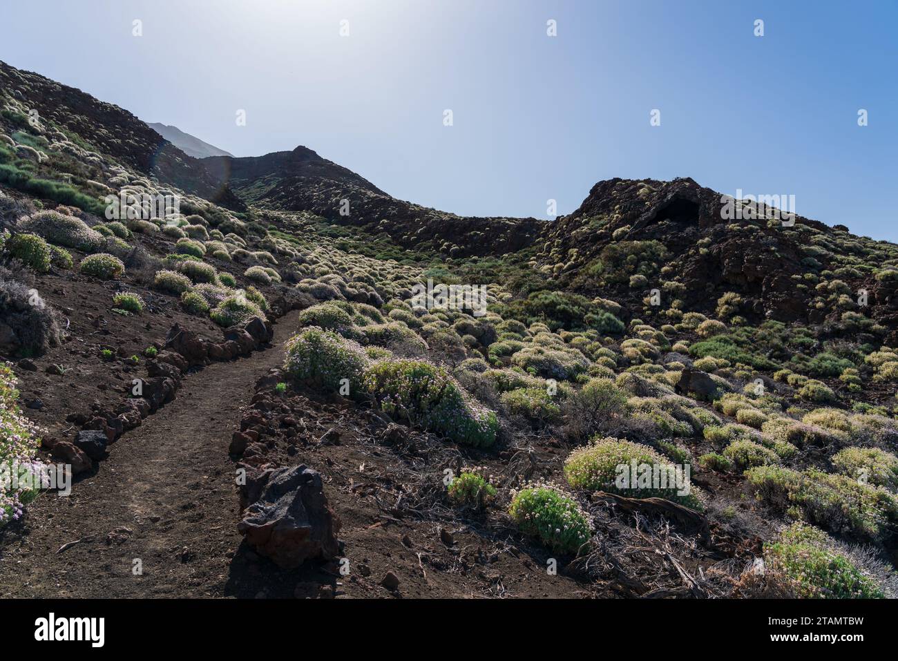Typical volcanic landscape of Tenerife. Canary Islands. Spain ...