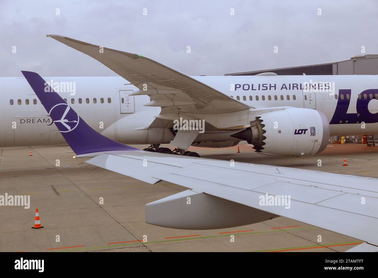 15 October 2022 Warsaw, Poland. LOT Polish Airlines runway of airport at Warsaw Frederic Chopin ...