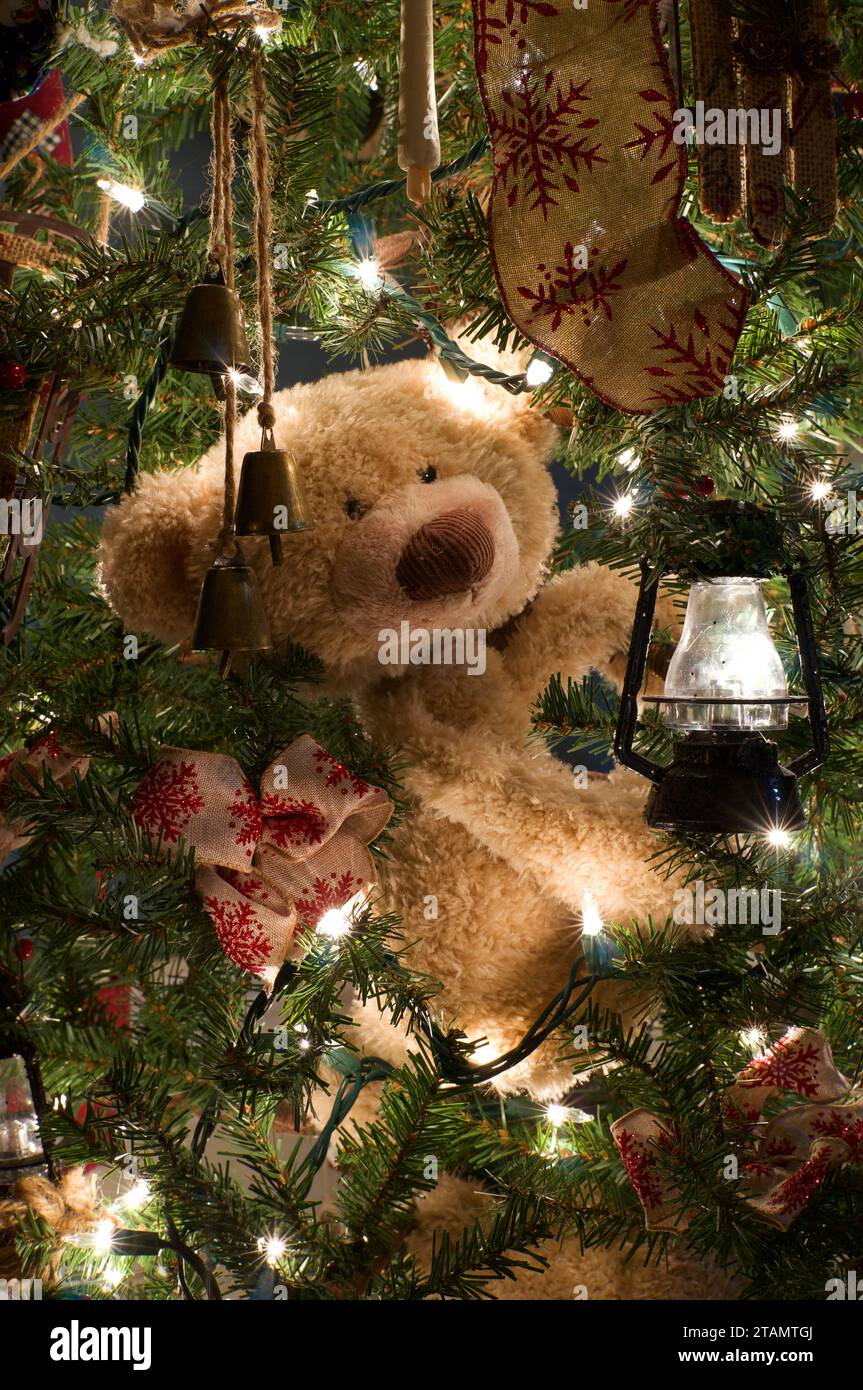 Teddy bear and christmas tree hi-res stock photography and images - Alamy