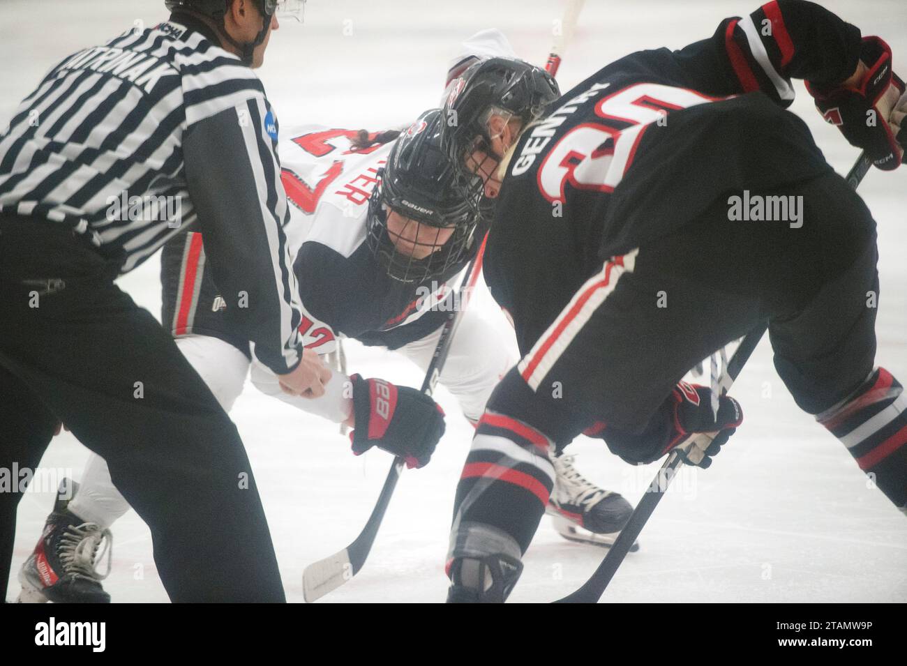 9271 1 hi-res stock photography and images - Alamy