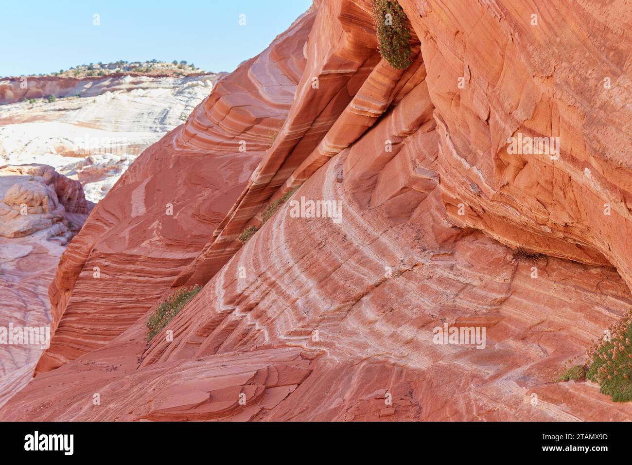 The extraordinary White Pocket in northern Arizona is one of the world ...