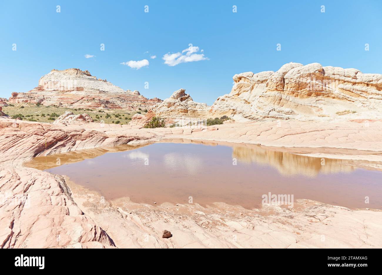 The extraordinary White Pocket in northern Arizona is one of the world ...