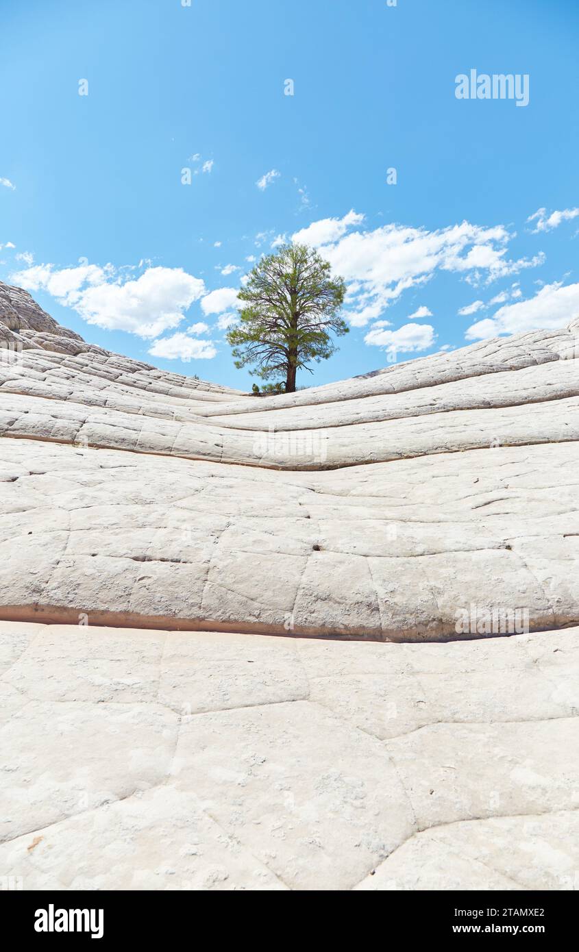 The extraordinary White Pocket in northern Arizona is one of the world ...