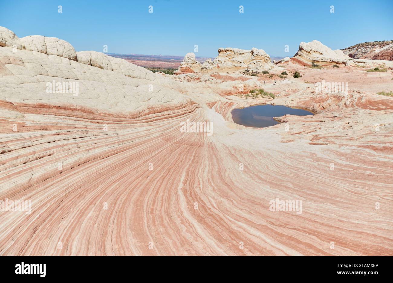 The extraordinary White Pocket in northern Arizona is one of the world ...