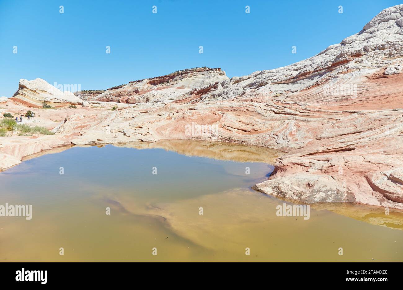 The extraordinary White Pocket in northern Arizona is one of the world ...