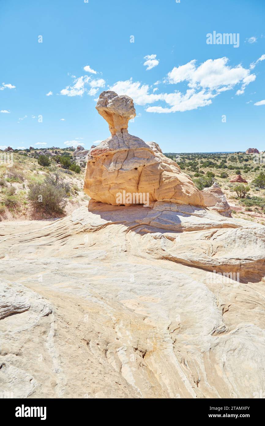 The extraordinary White Pocket in northern Arizona is one of the world ...