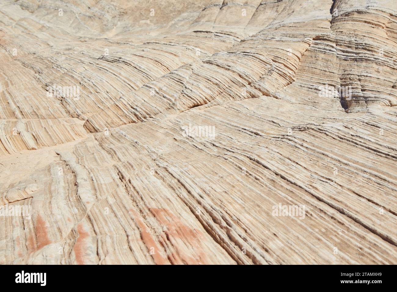 The extraordinary White Pocket in northern Arizona is one of the world ...