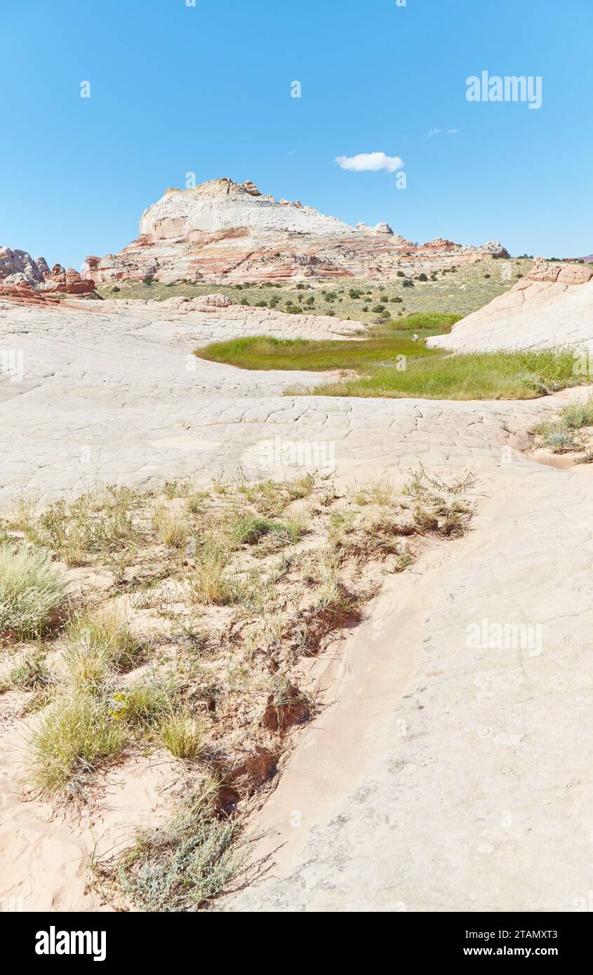 The extraordinary White Pocket in northern Arizona is one of the world ...