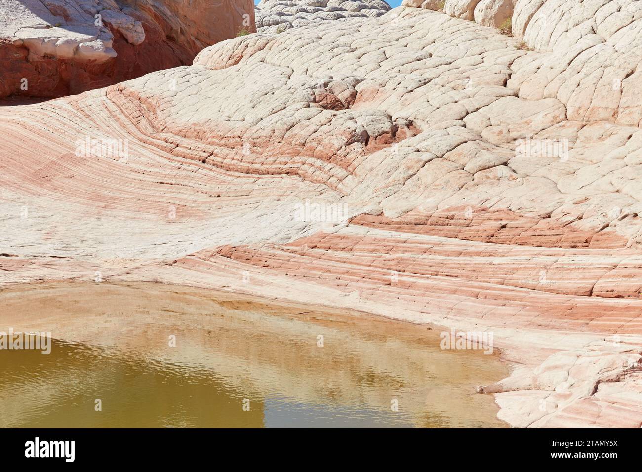 The extraordinary White Pocket in northern Arizona is one of the world ...