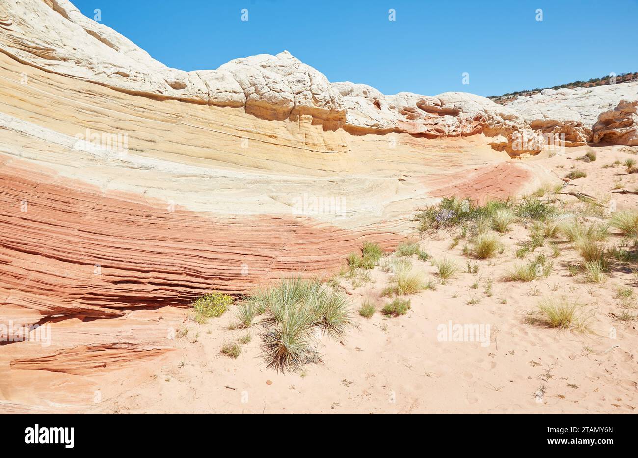 The extraordinary White Pocket in northern Arizona is one of the world ...