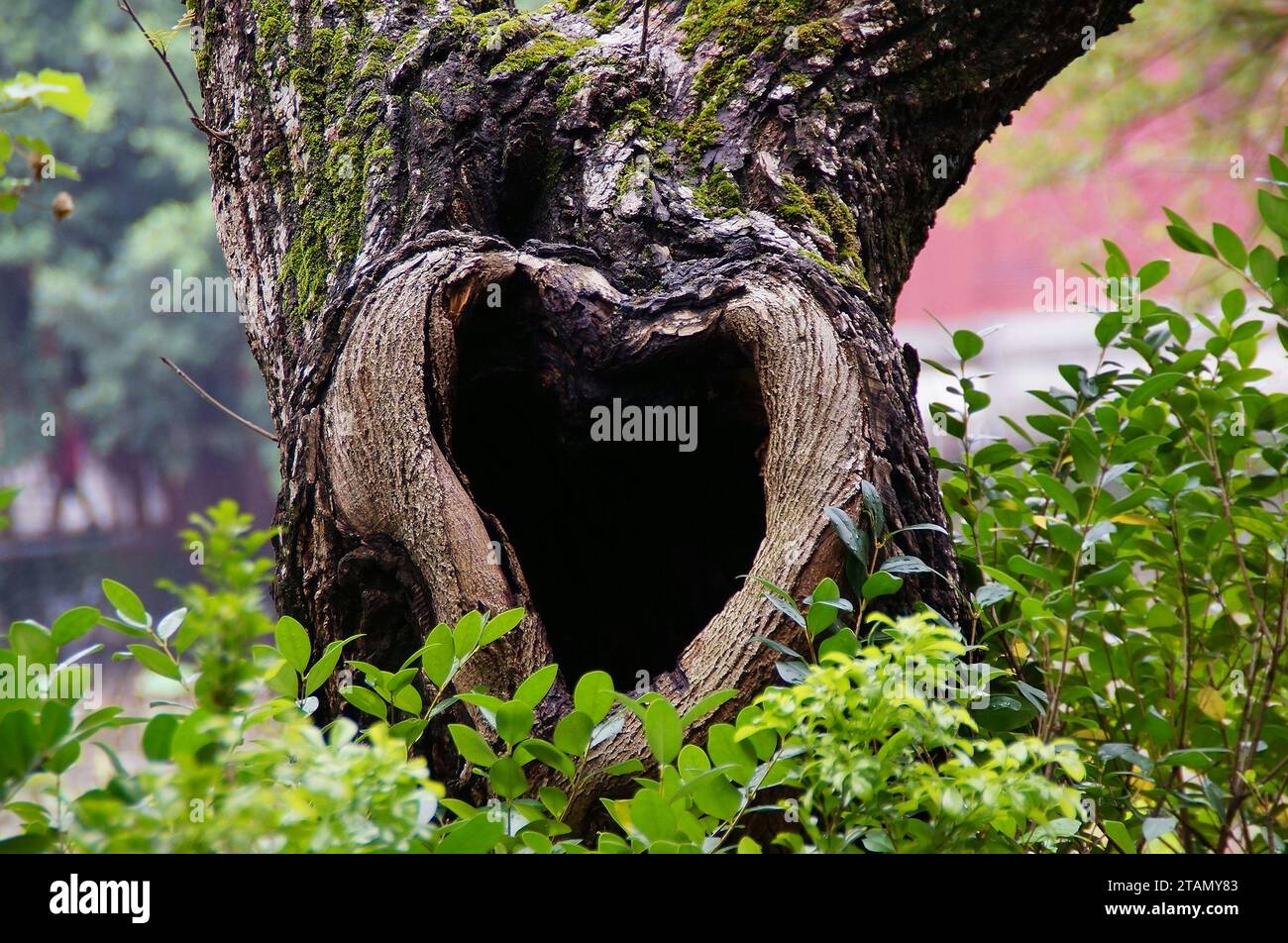 Old town big hole hi-res stock photography and images - Alamy