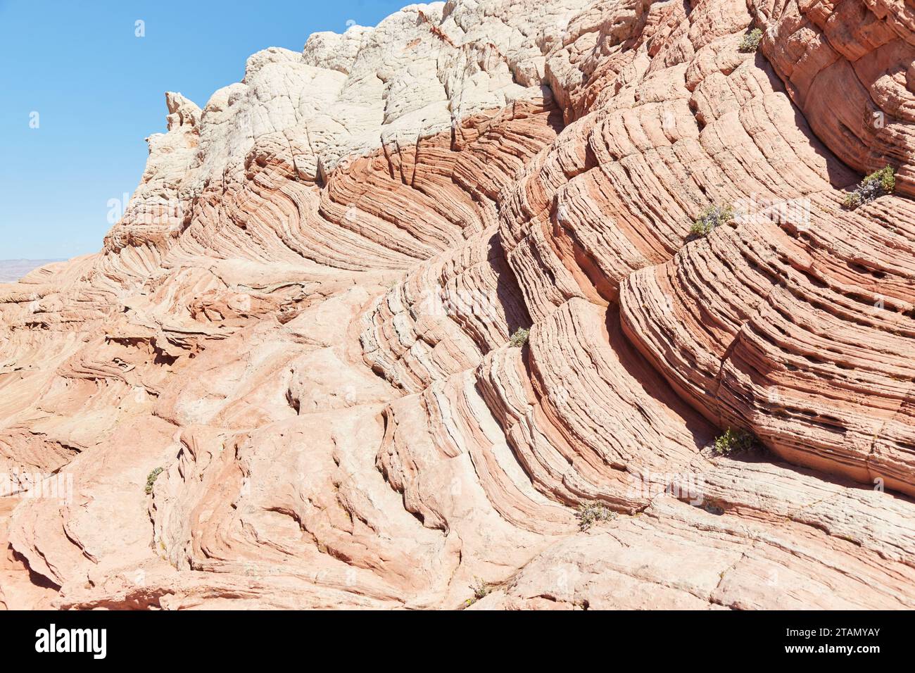 The extraordinary White Pocket in northern Arizona is one of the world ...