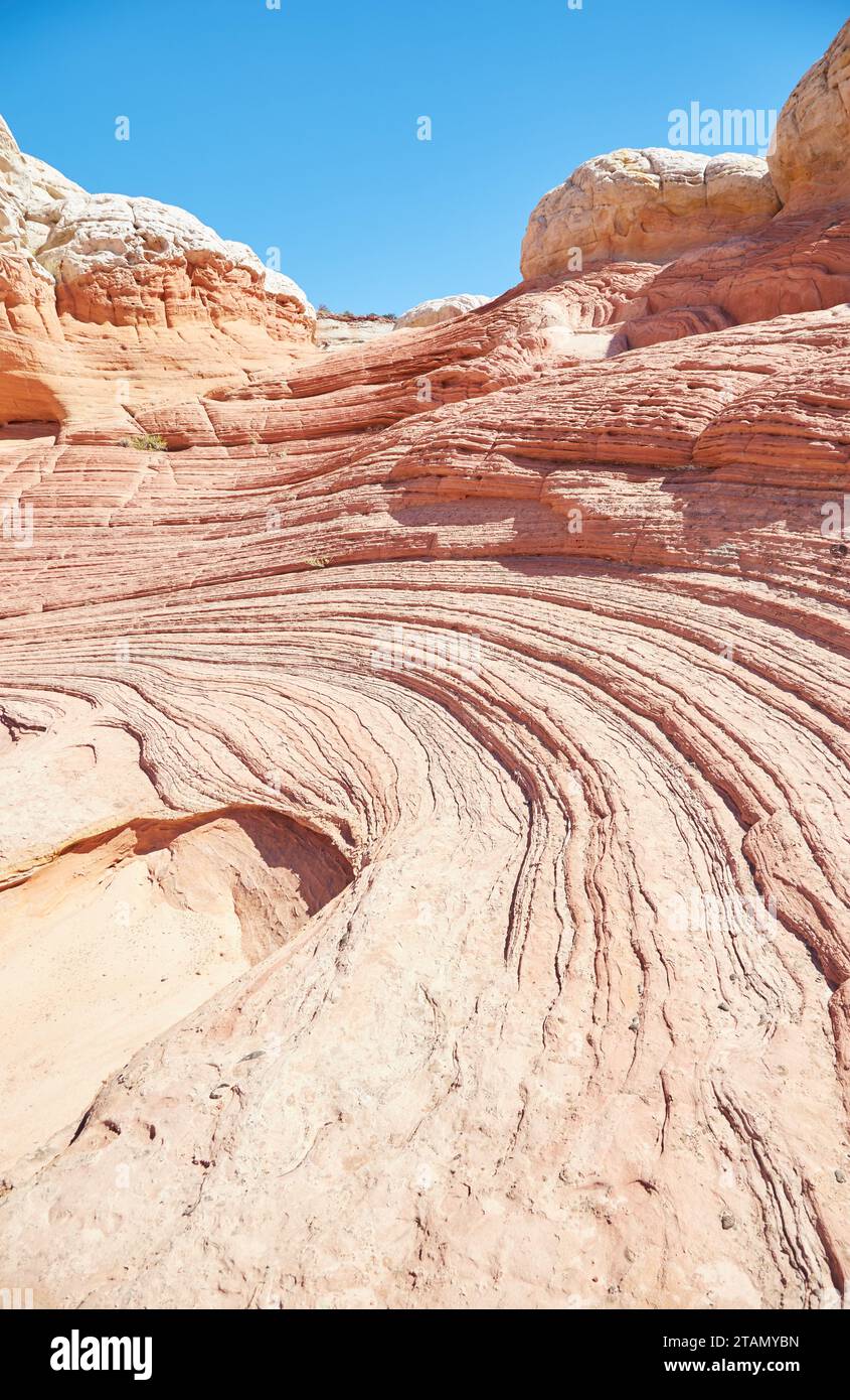 The extraordinary White Pocket in northern Arizona is one of the world ...