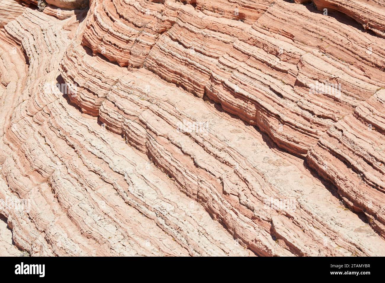 The extraordinary White Pocket in northern Arizona is one of the world ...