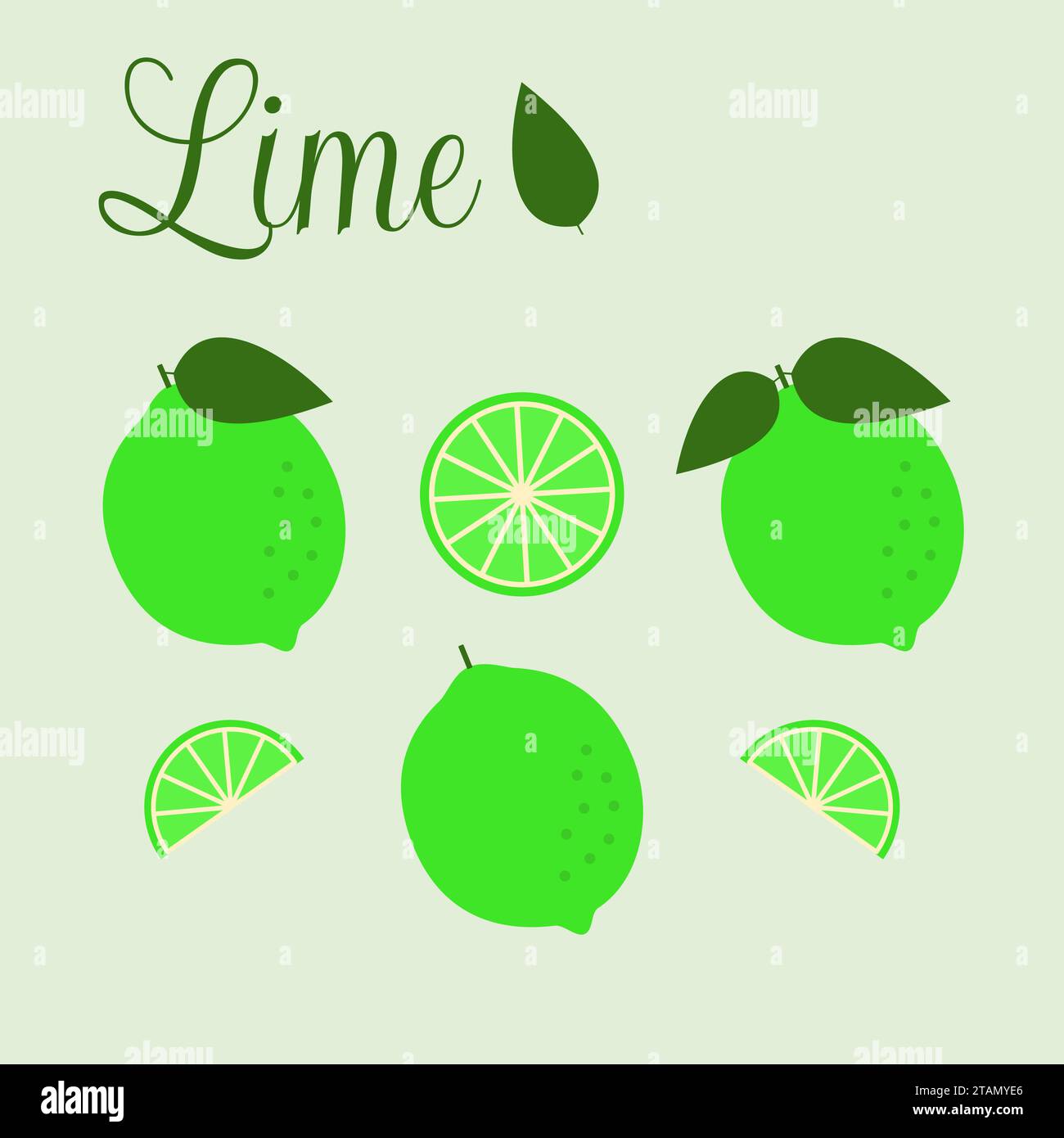 Vector illustration. Lime collection in a flat style Stock Vector Image ...