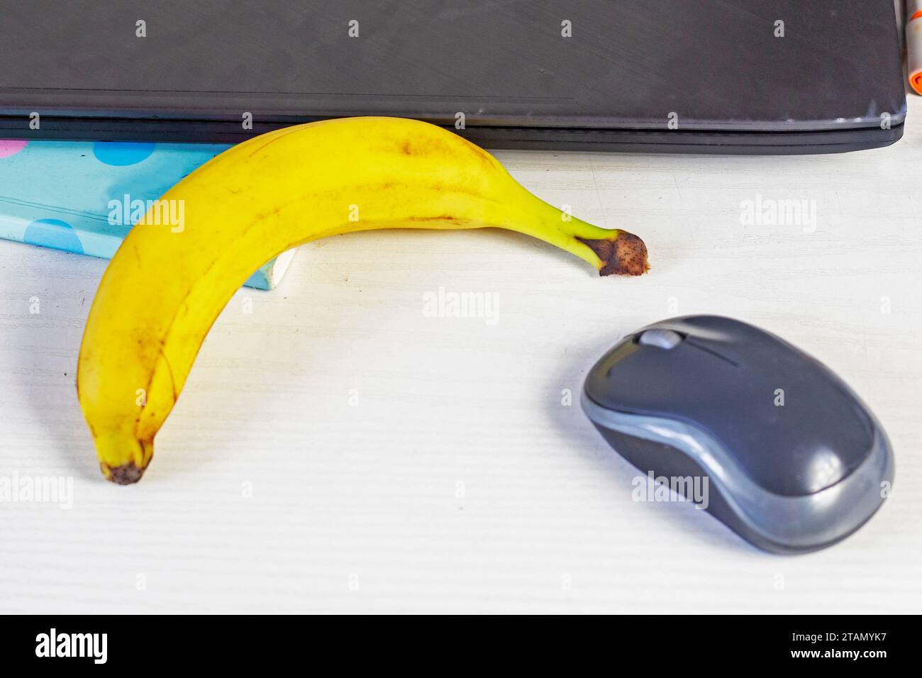 Snacking mouse hi-res stock photography and images - Alamy