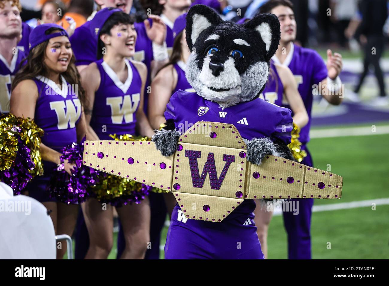 Las Vegas, NV, USA. 01st Dec, 2023. The Washington Huskies mascot Harry ...