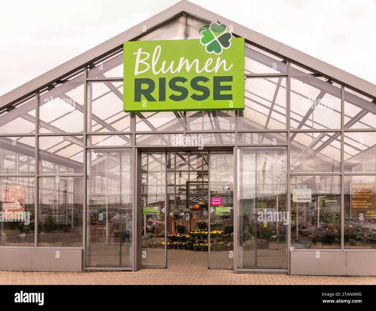 Blumen Risse Logo Warum Die Chefin Von Blumen Risse Die Bonpflicht So